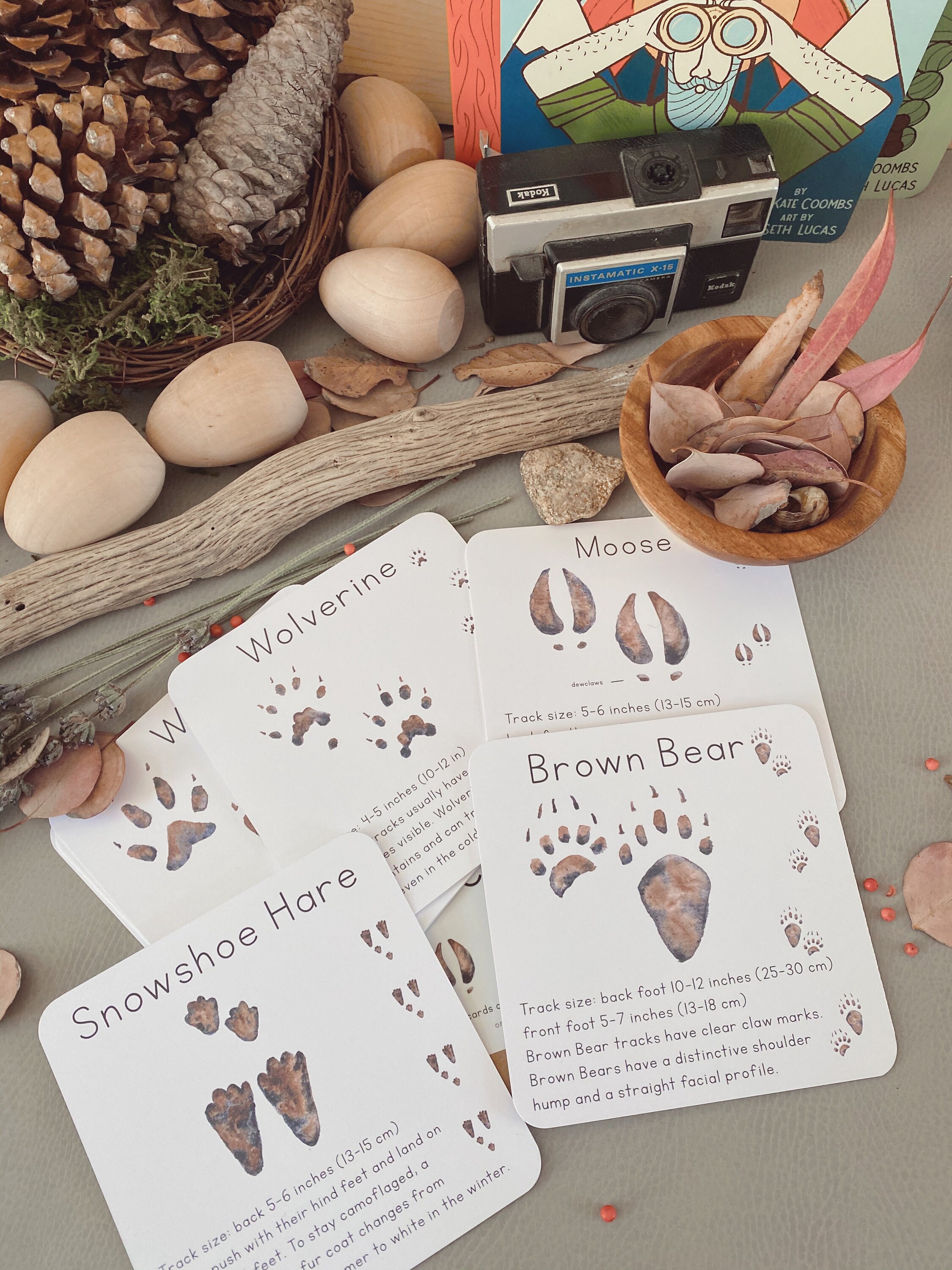 Alaska Animal Tracks Learning Cards Digital Download Animal - Etsy