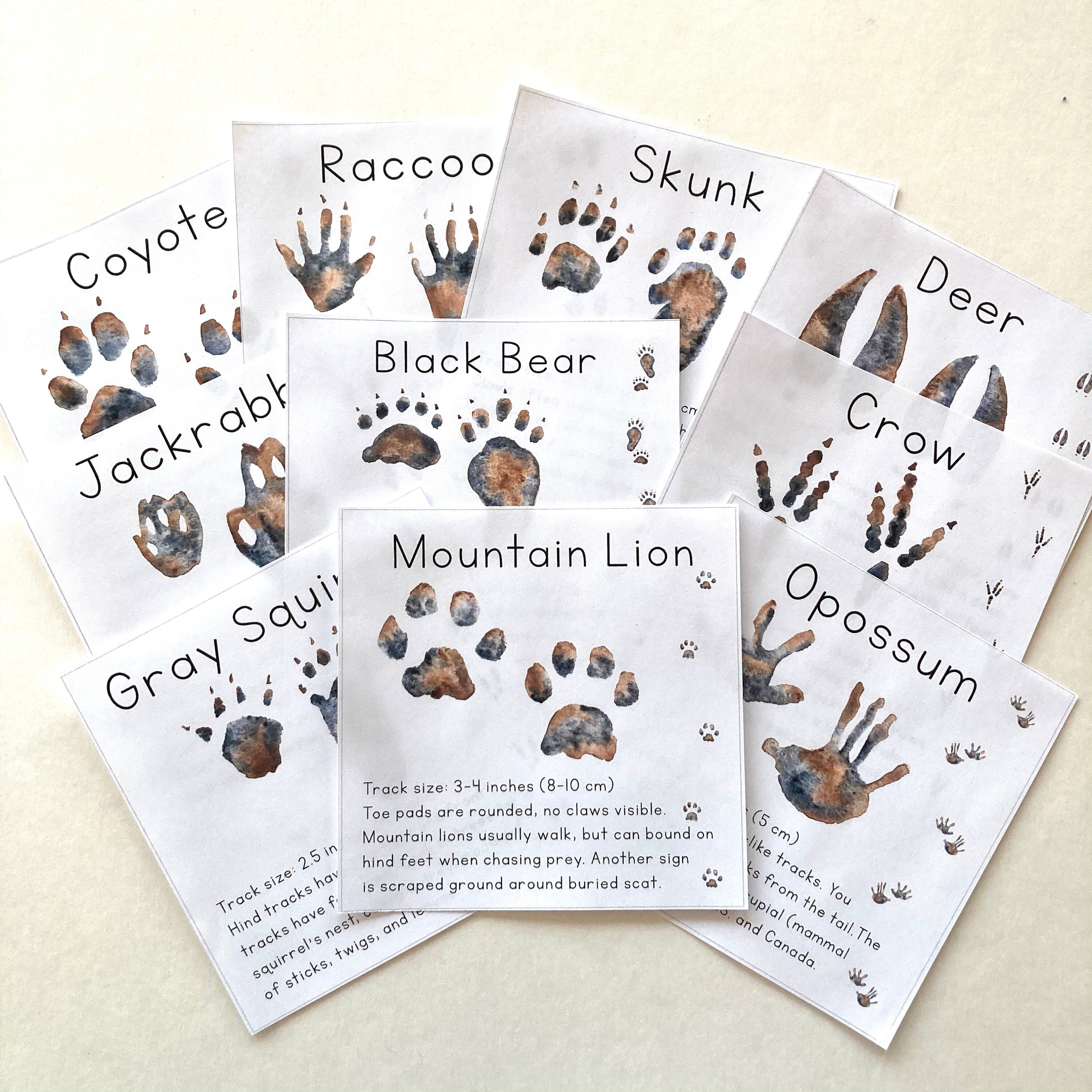 Animal Tracks Learning Cards Animal Tracks Facts Nature - Etsy