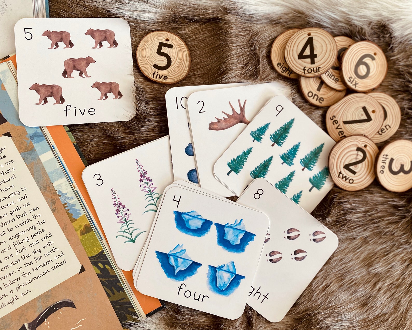 Alaska Counting Cards, Nature Counting Cards, Nature Counting, Animal ...