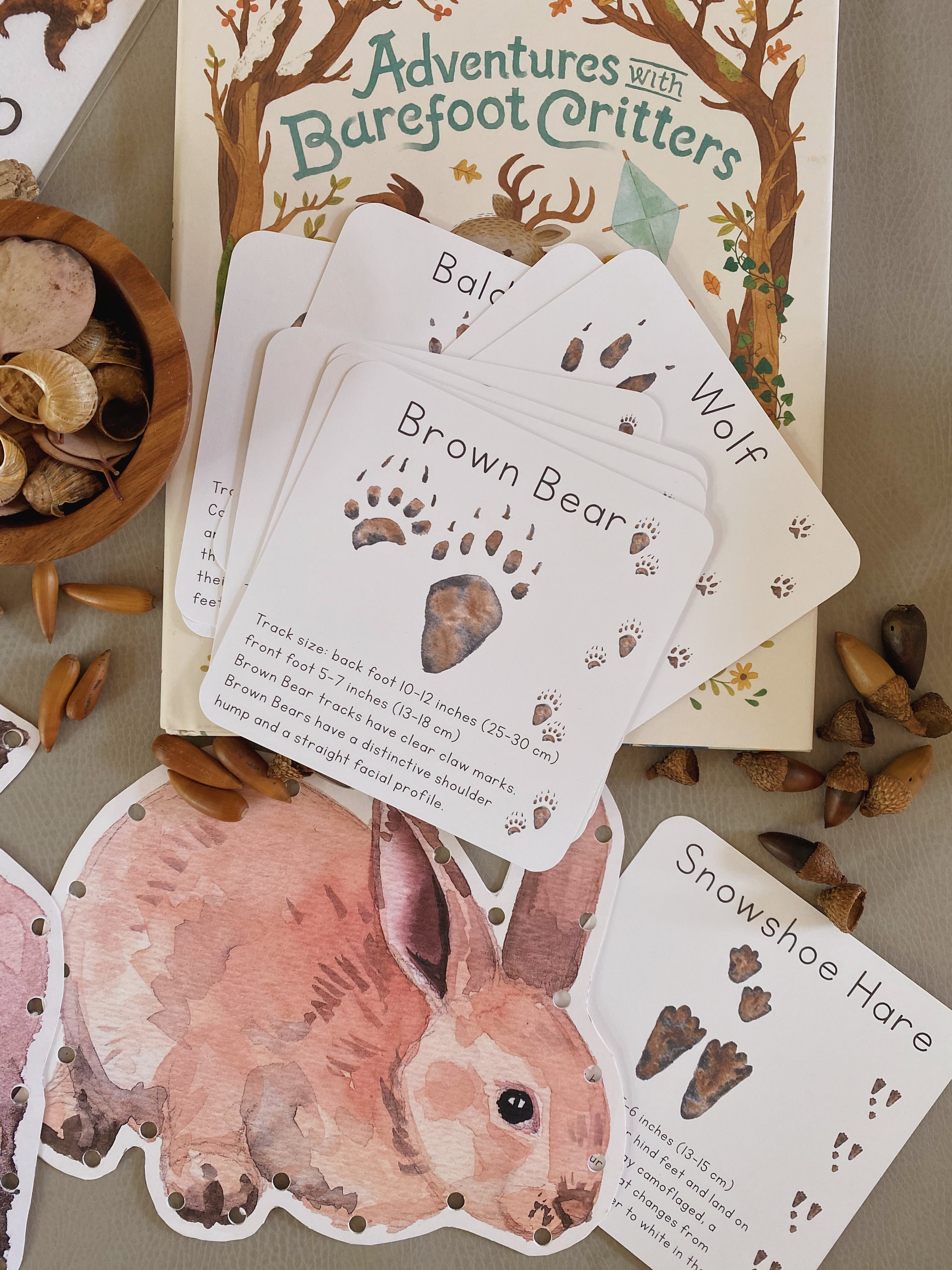 Alaska Animal Tracks Learning Cards: Homeschool Nature Study (digital ...