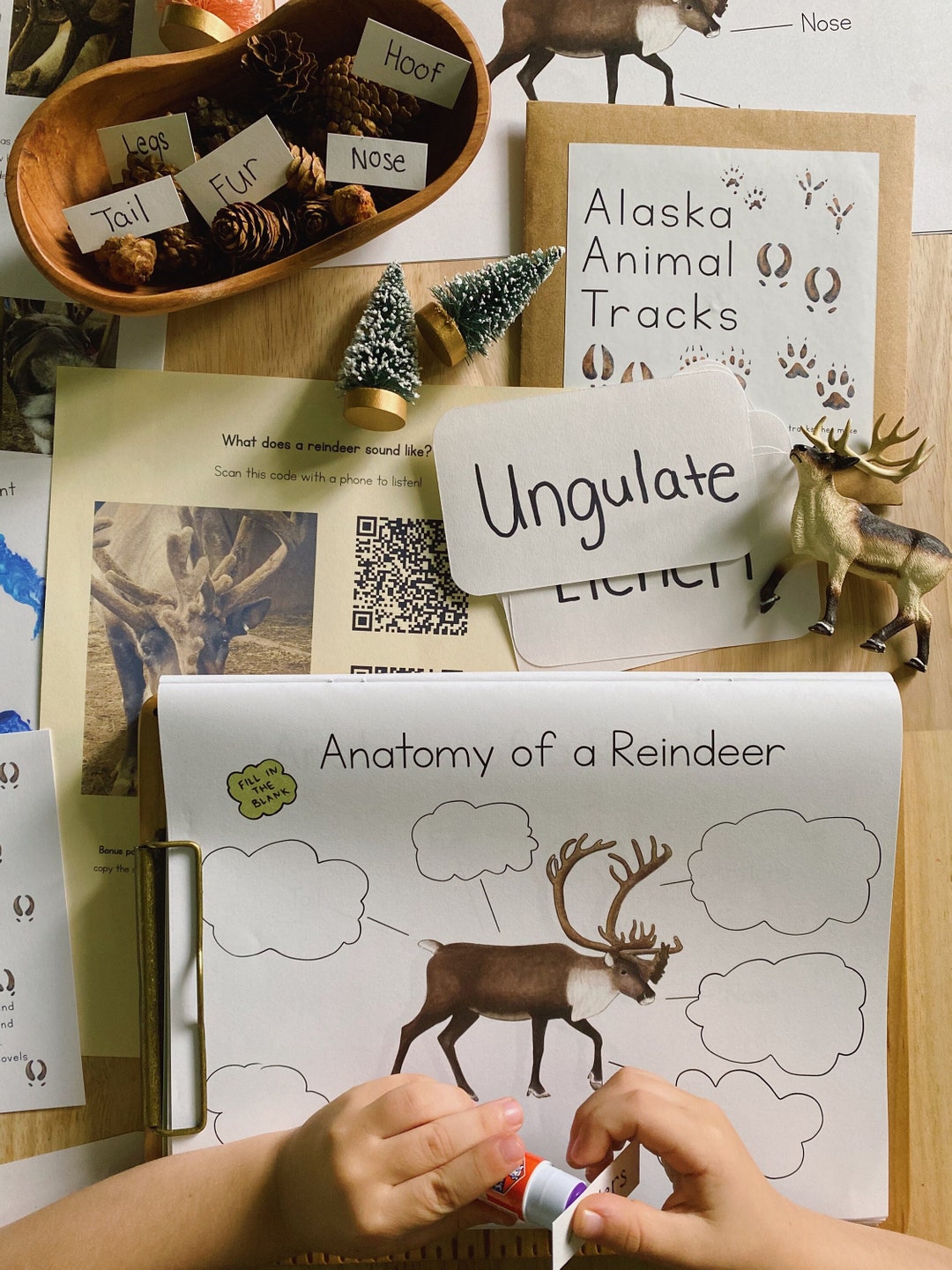 Reindeer Winter Unit Study (PDF Download) - Etsy