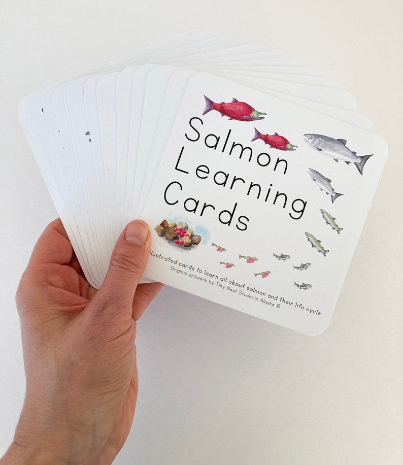 Salmon Life Cycle Cards, Life Cycle Study, Homeschool Science, Salmon ...