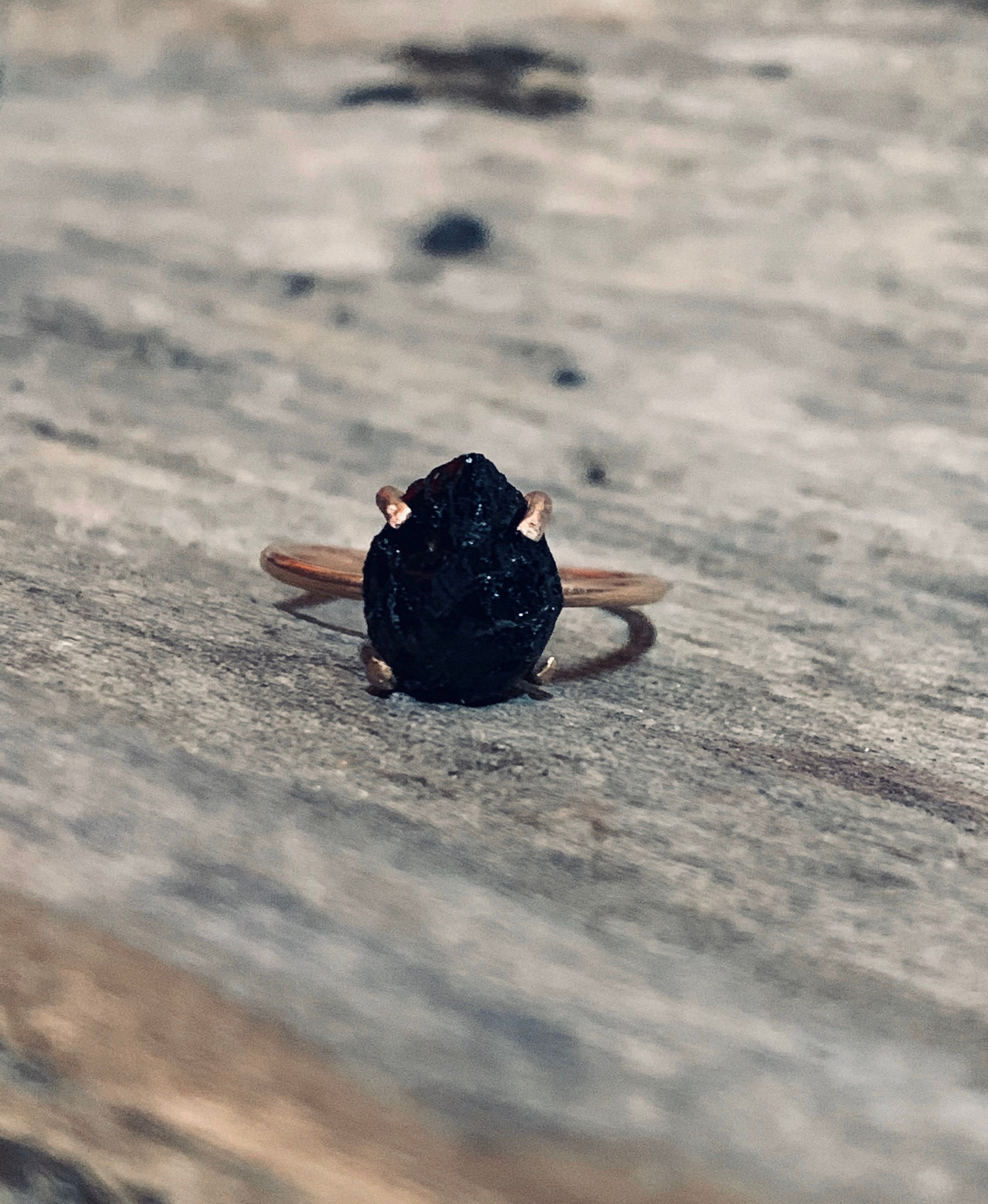 Prong Setting Ring With Stacking Band Raw Stone Rings Solid | Etsy