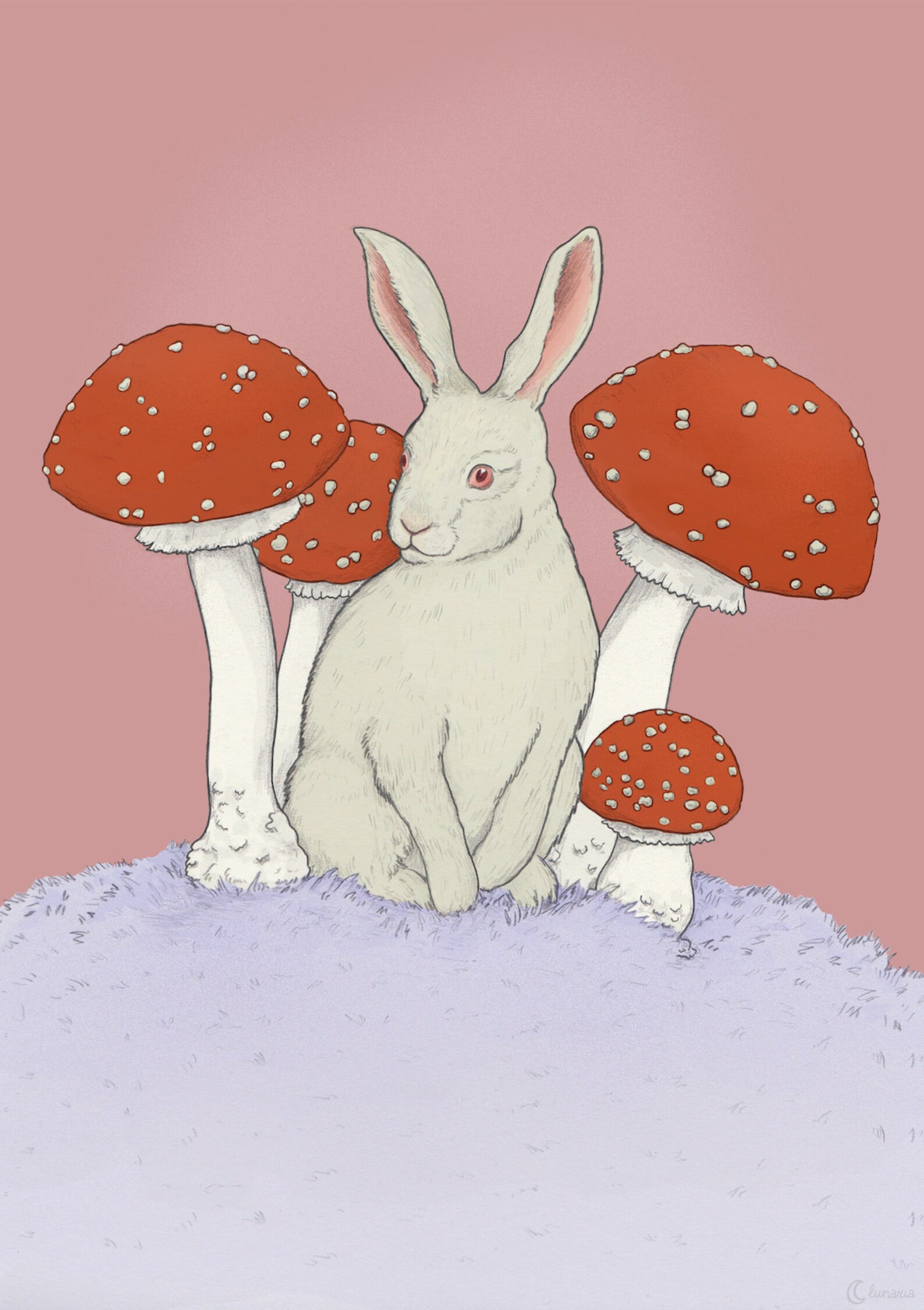 White Hare in the Magical Forest // A4 Print - Etsy