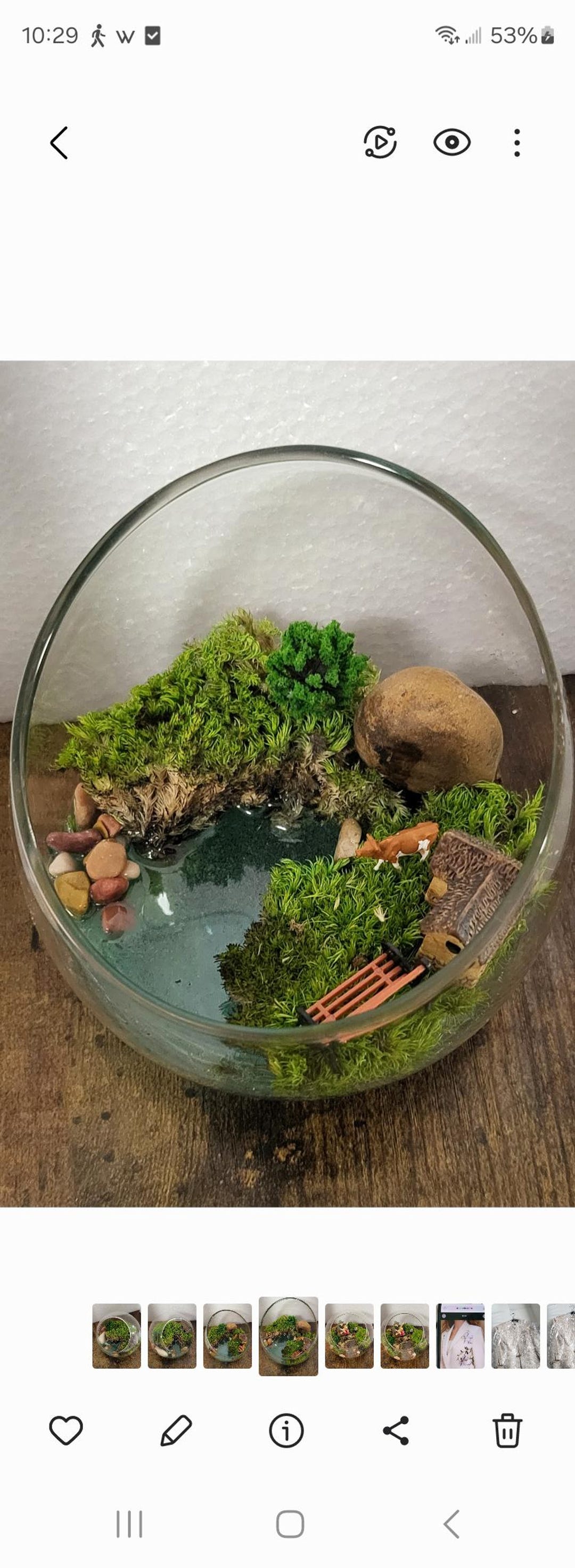 Terrarium Small Cottage on the Lake - Etsy