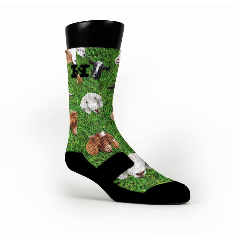 Goat Farm Hoopswagg Customized Socks, All Shoe Sizes, Perfect Funny ...