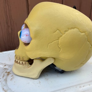 Halloween, Skull Skeleton Bulging Eyes Illuminated Blinking Eyes ...