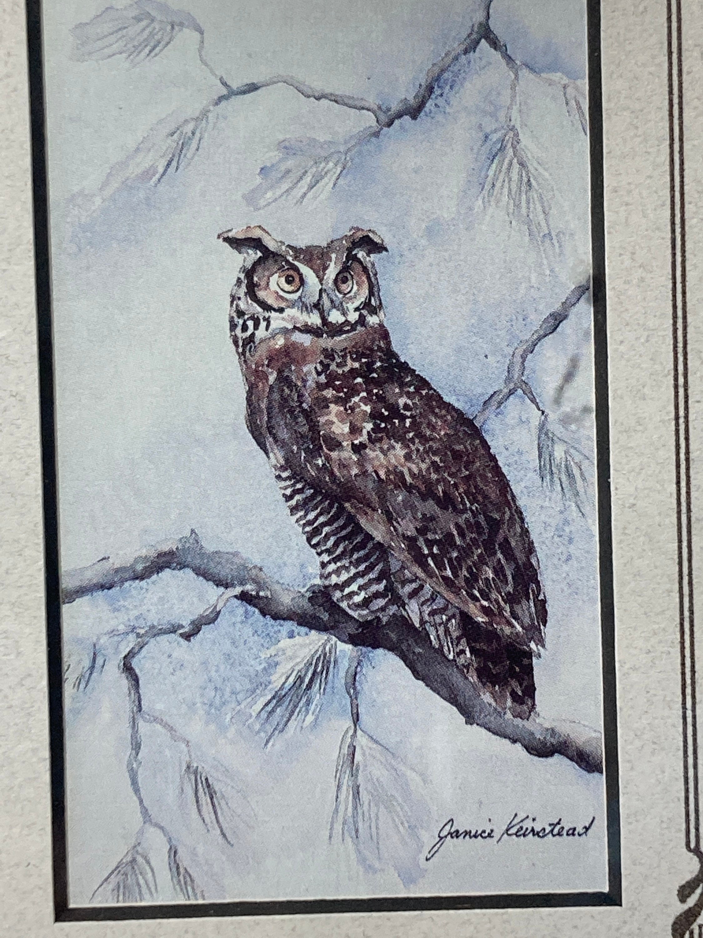 Owl Horned Screech Canadian Artist Janice Keirstead | Etsy