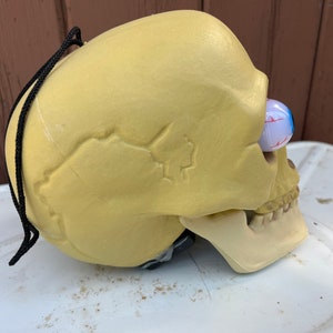 Halloween, Skull Skeleton Bulging Eyes Illuminated Blinking Eyes ...