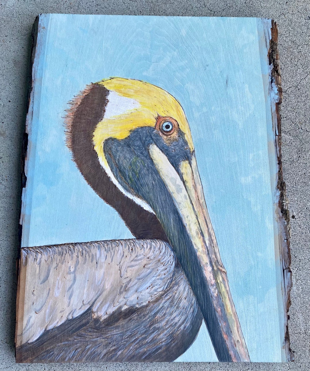 Pelican Art, Original Art, Bird Art, Wood Art, Wood Wall Art, Pelicans ...