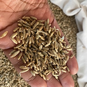 ORGANIC Stone-milled Wheat FLOUR - Etsy