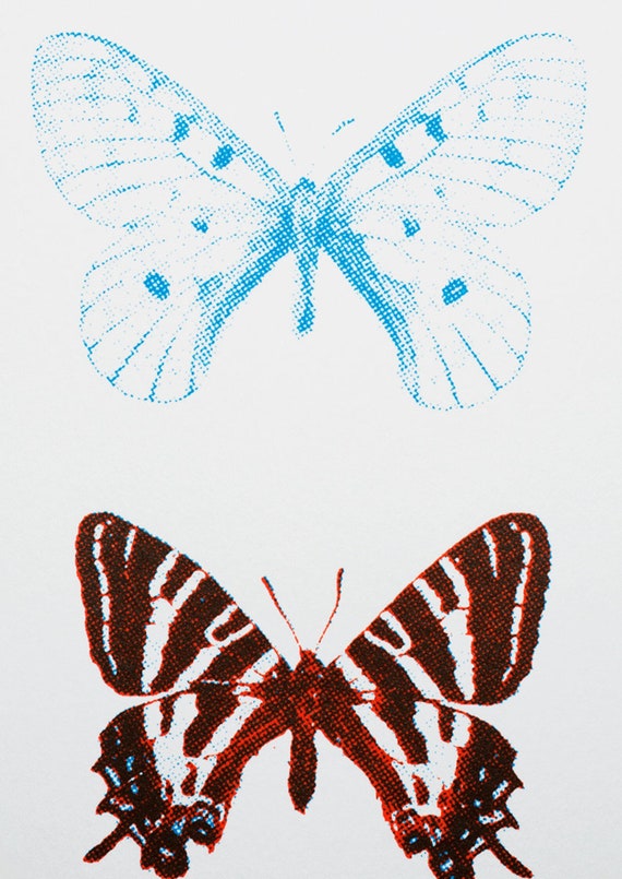 Screenprints Prints Small Serigraph Prints. Set of Butterfly Screen ...
