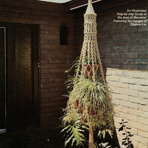 Macrame Plant Hanger Pattern Free Beginners Samplerpdf | Etsy