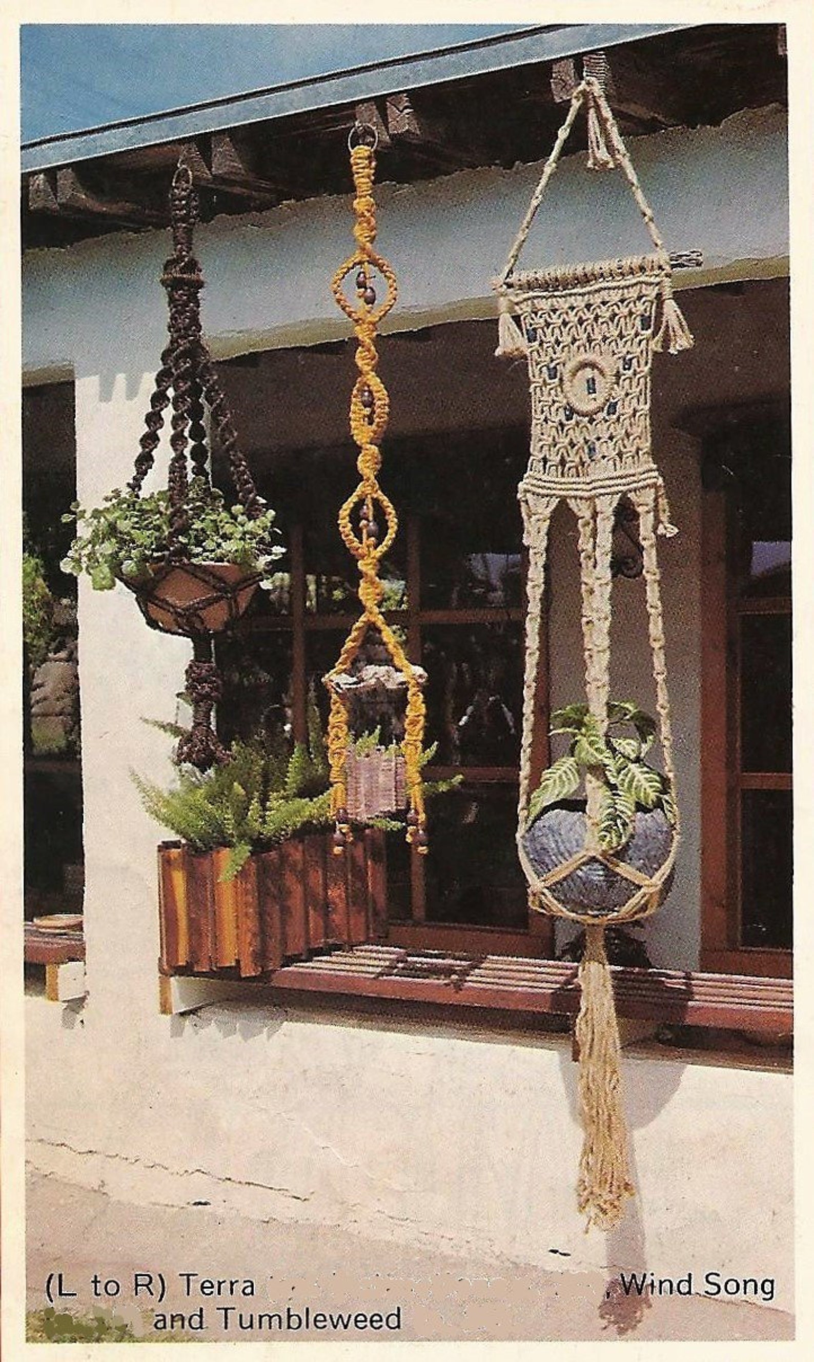3 Macramé Pot Hanger Pattern/pdf/ DIY Beginner Basic Instructions ...
