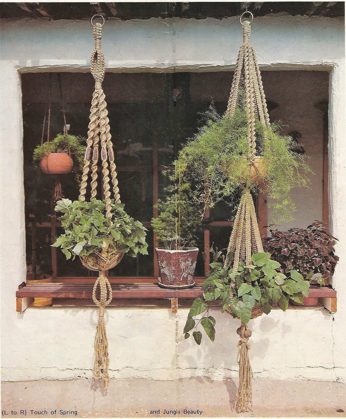 Macrame Pot Hangers Patterns, 1970s Vintage , Free Sampler,pdf Instant ...