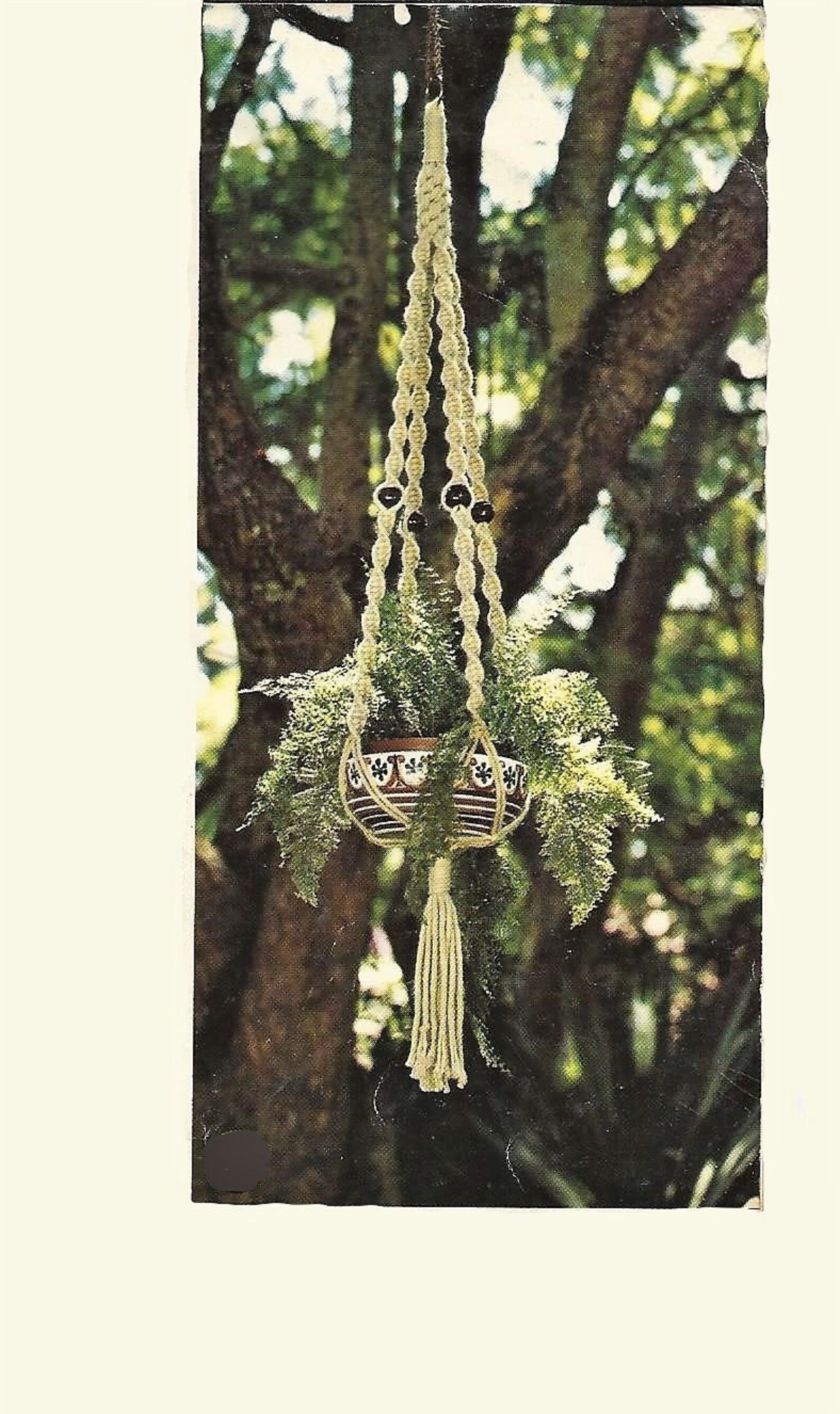 Macrame Pot Hangers Patterns, 1970s Vintage , Free Sampler,pdf Instant ...