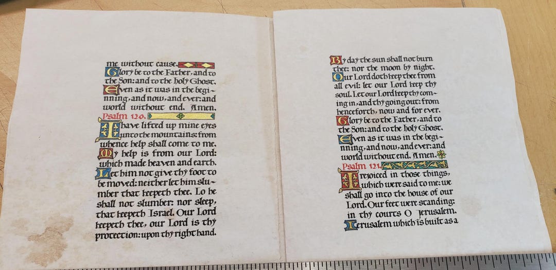 A Book of Hours, Illuminated Coloring Book Digital Download (PDF) - Etsy