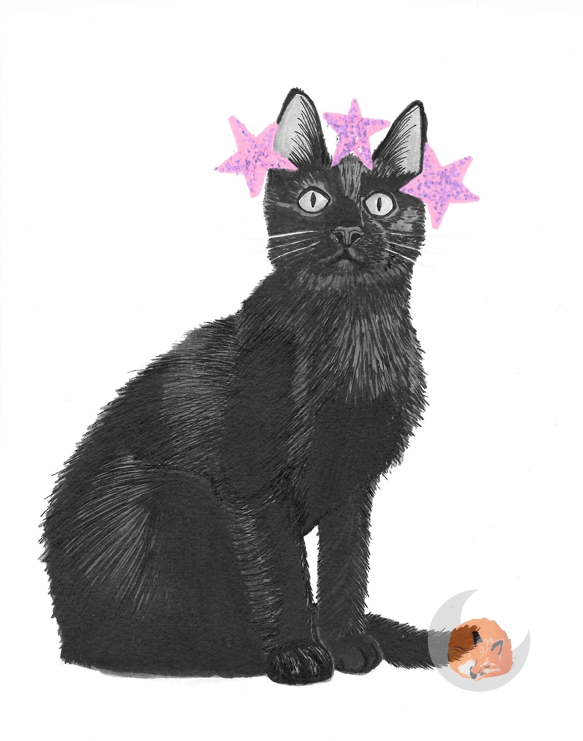 Transparent Cat Tumblr