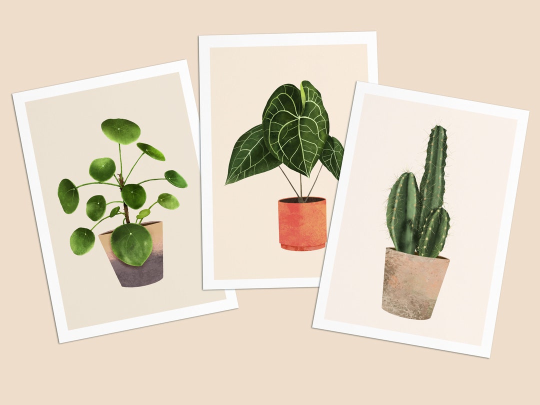 Postcards With Plants, Set of 3 Pilea, Heartleaf, Cactus - Etsy