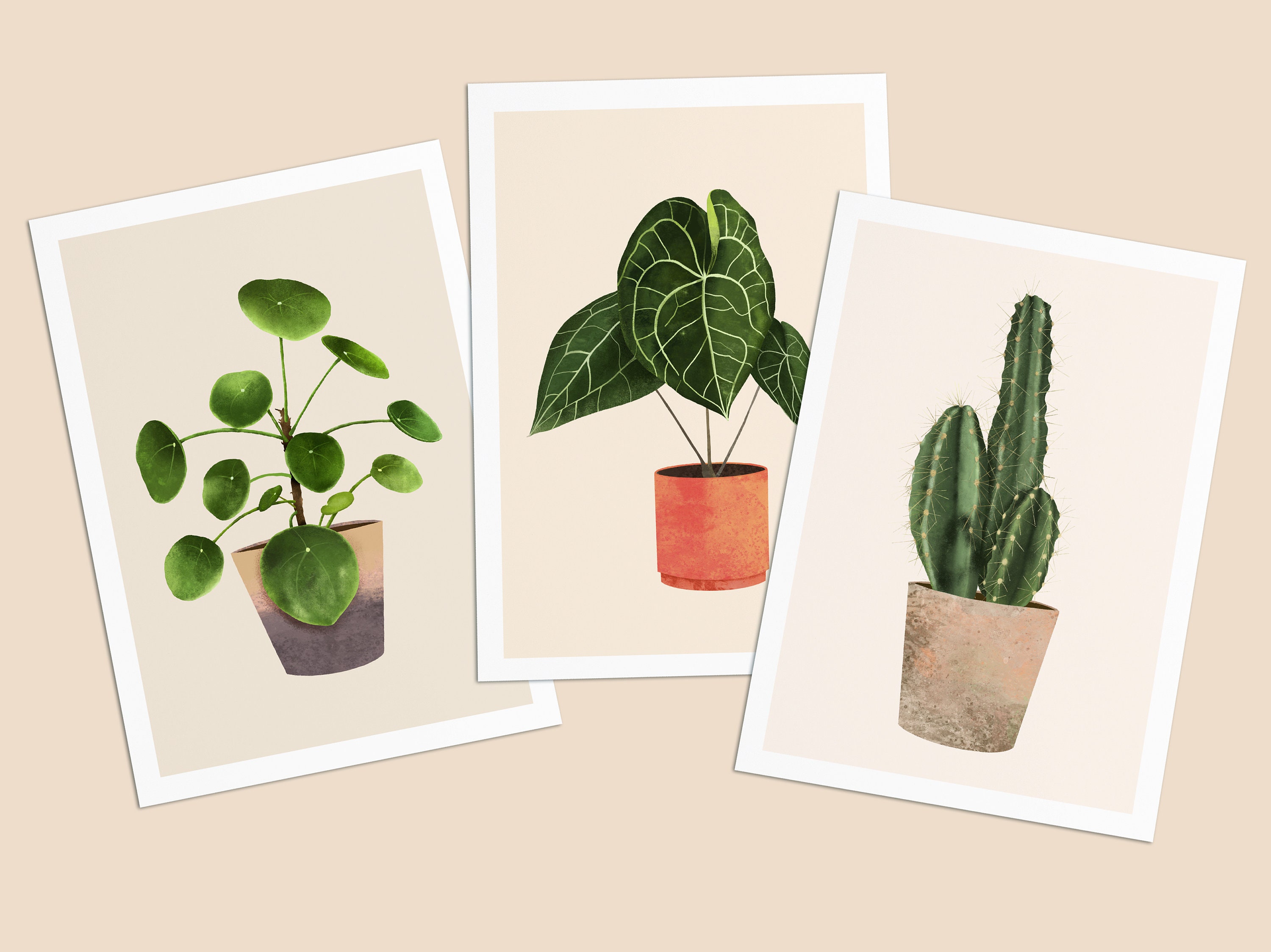 Postkarten mit Pflanzen, 3er Set Pilea, Herzblatt, Kaktus - Etsy.de