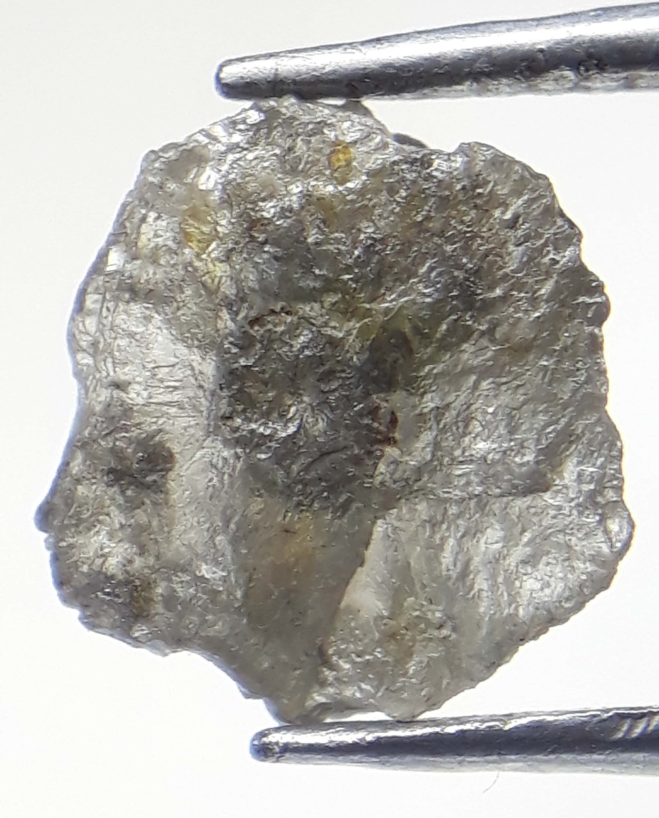 1.45 cts/1 pcs Natural Rough DiamondFull Slice Type Chips | Etsy