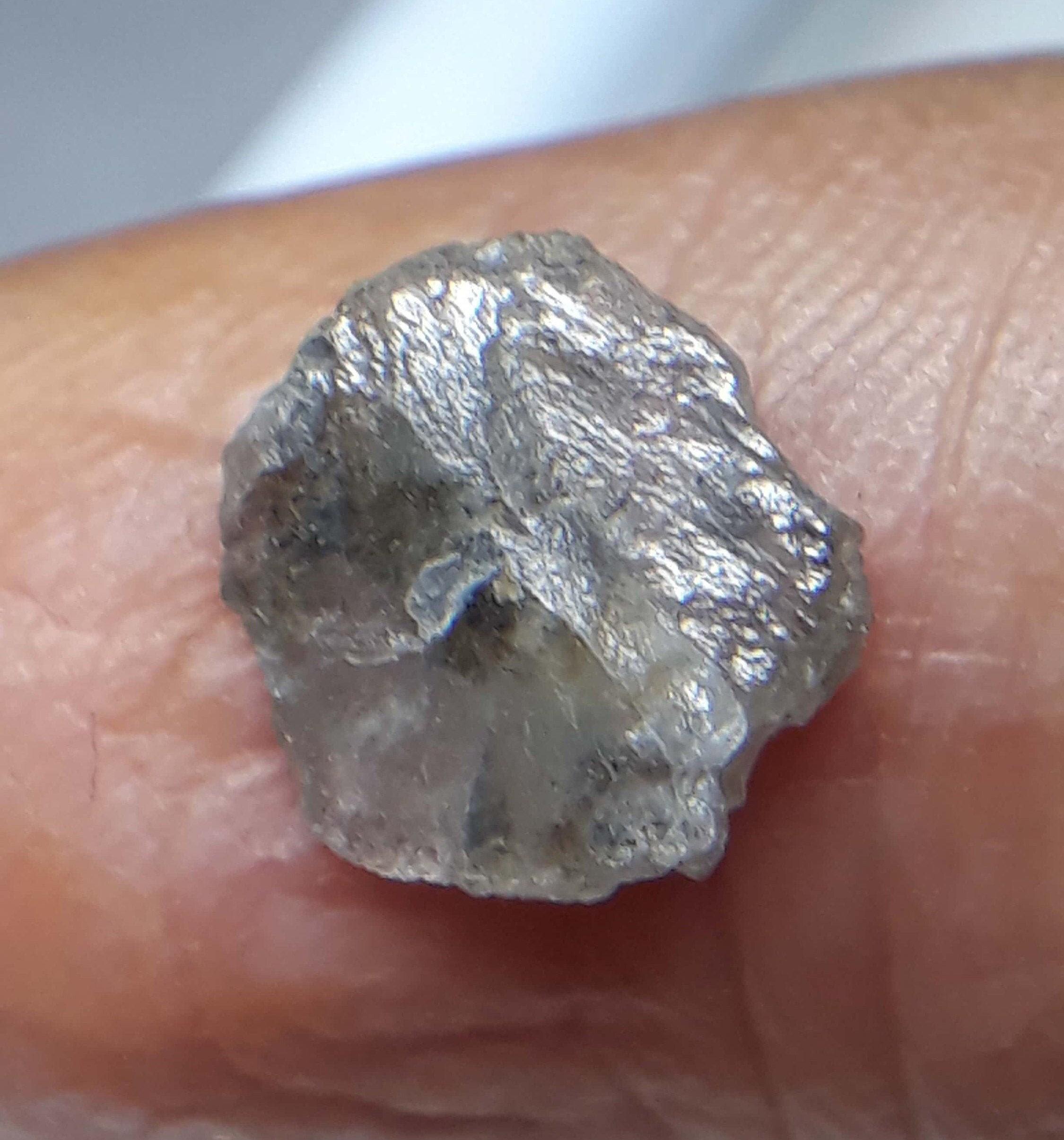 1.45 cts/1 pcs Natural Rough DiamondFull Slice Type Chips | Etsy