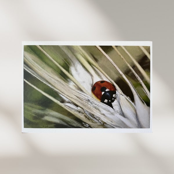 Ladybug Print - Etsy