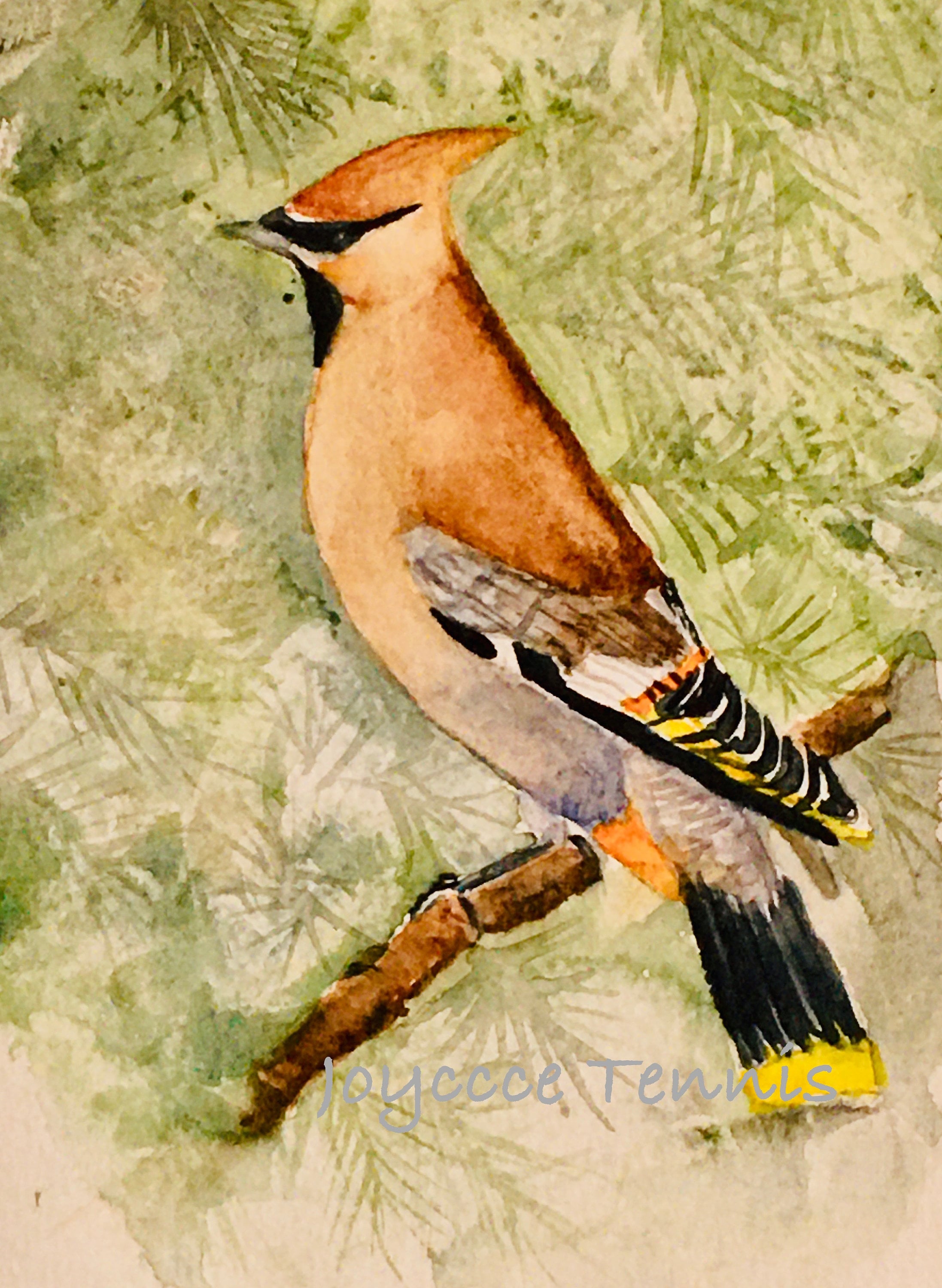 Set of 5 Watercolor Cedar Waxwing Greeting Cards - Etsy