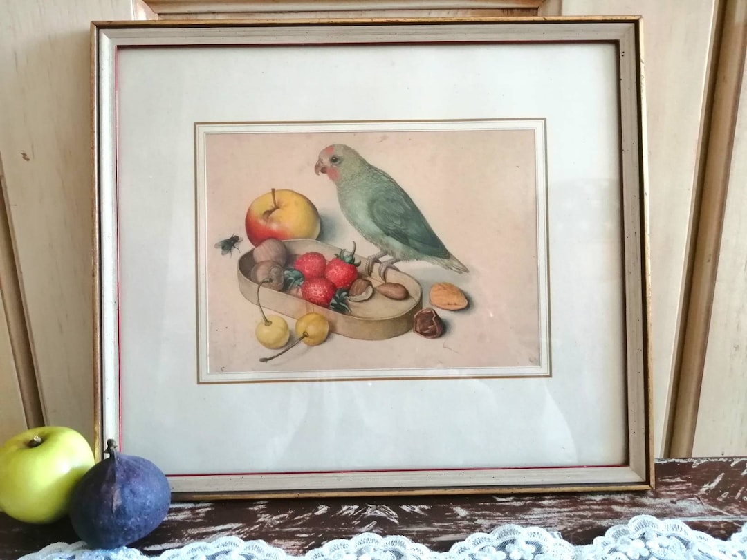 Still Life With Dwarf Parrot by Georg Flegel Framed Art Print - Etsy