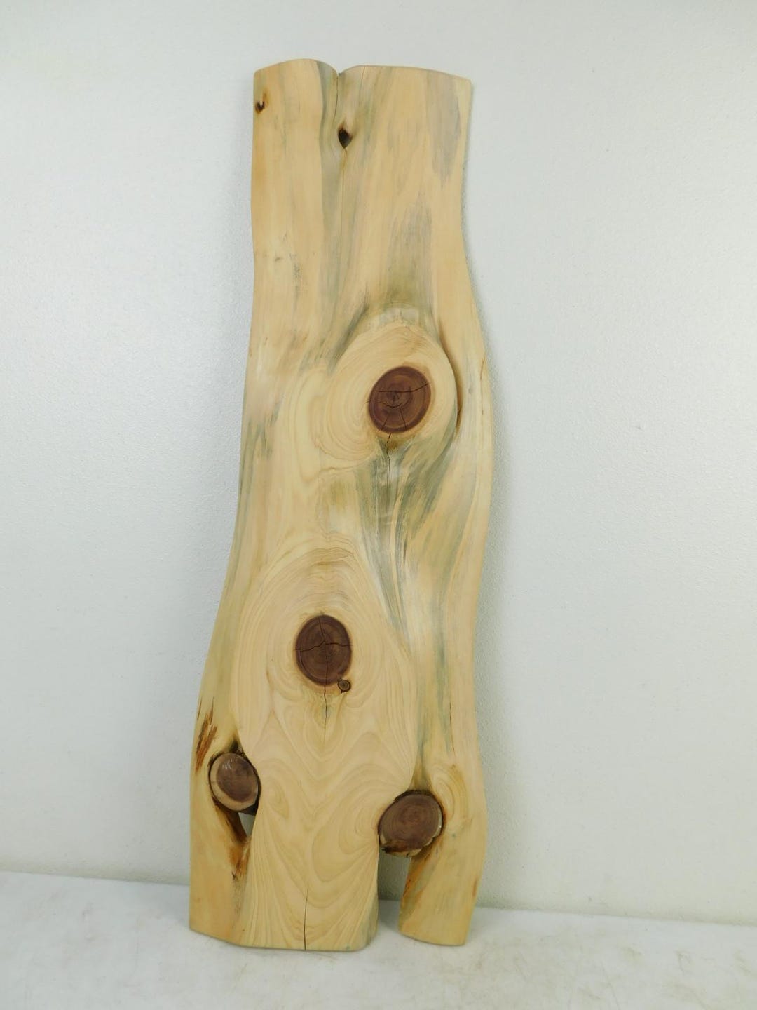 Natural Wood Slab Wall Hanging Decoration Art Knotty Tree Trunk 28x10 ...