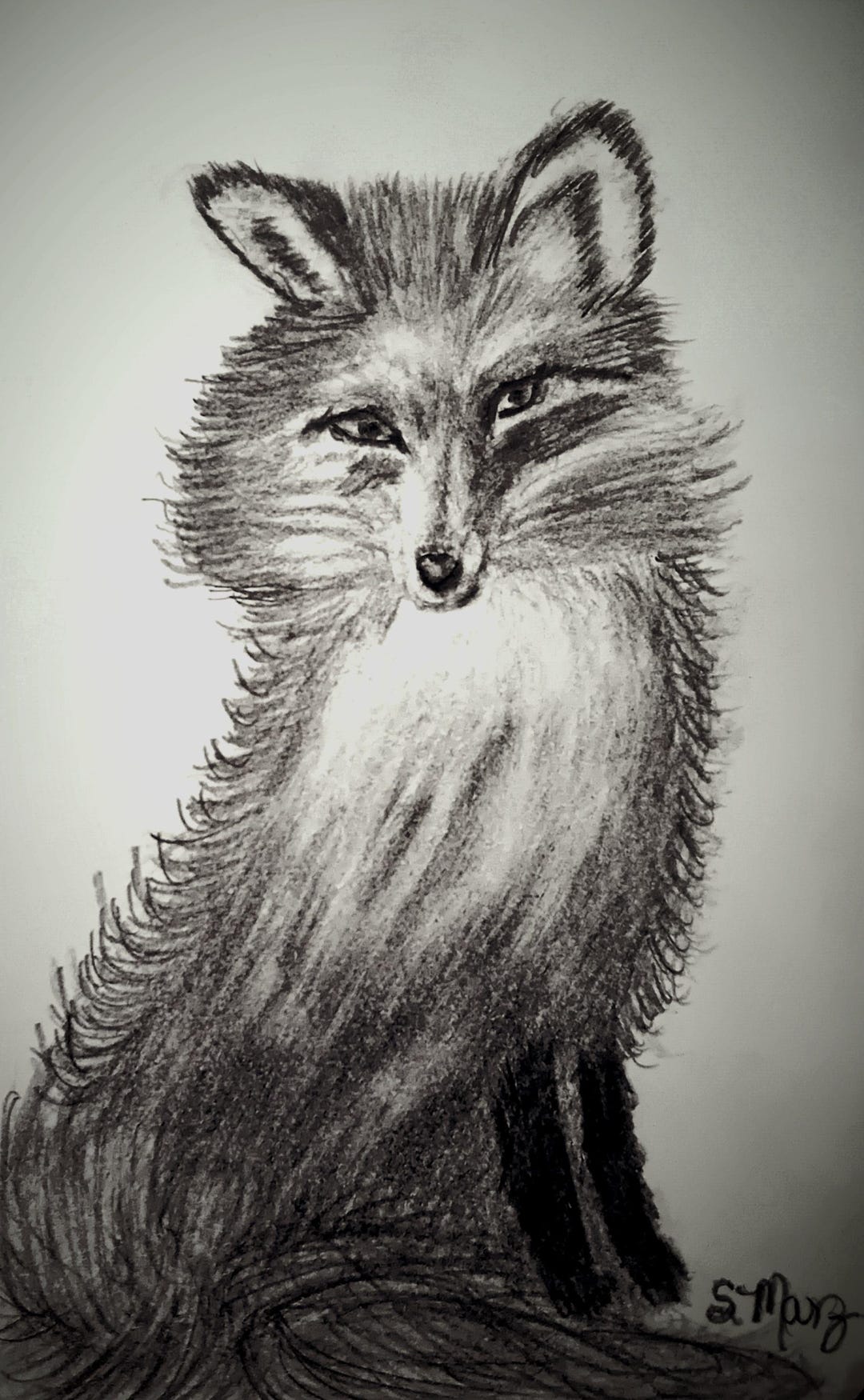 Original English Fox Charcoal Drawing Print - Etsy