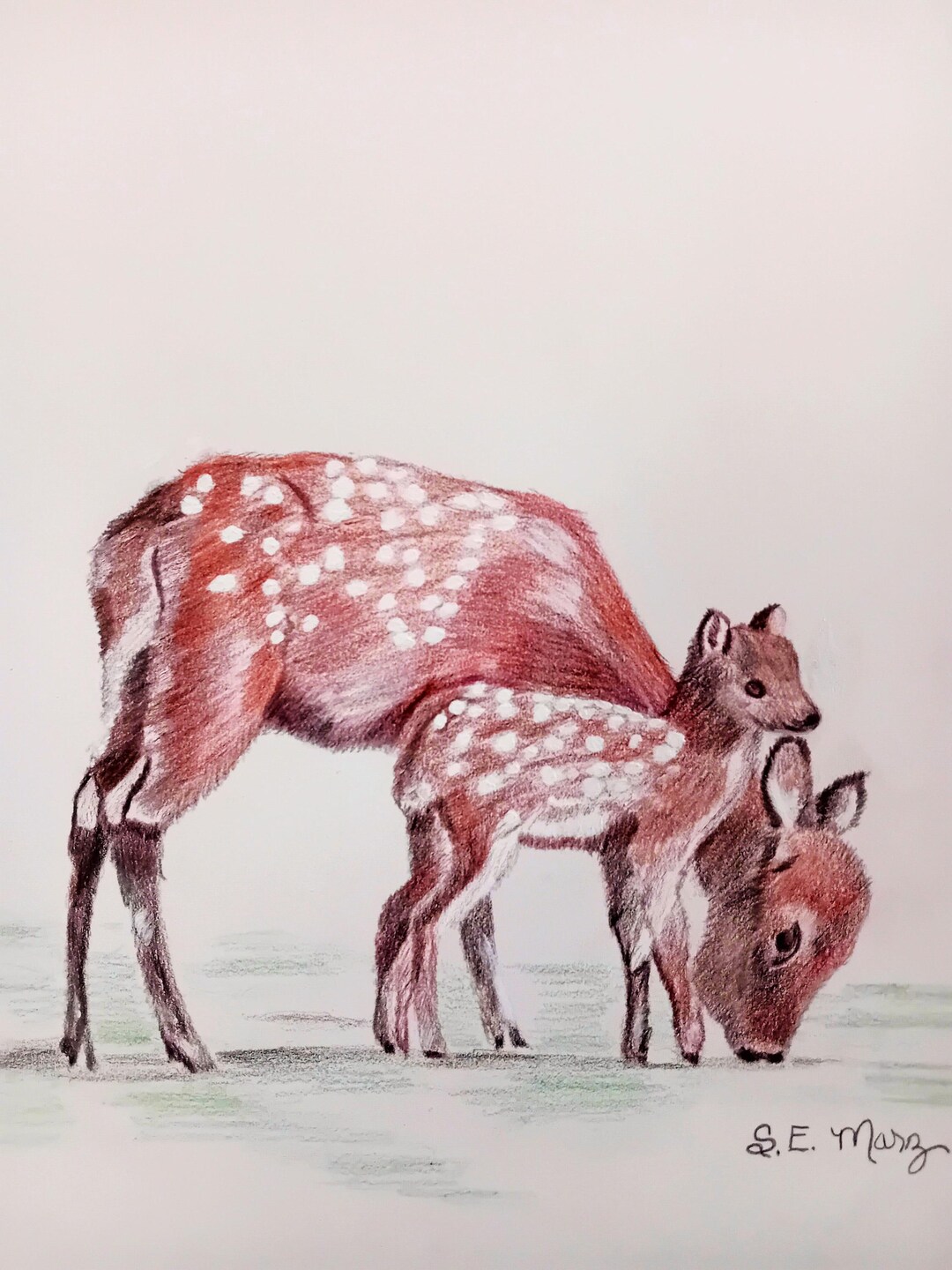 Original English Doe and Fawn (victoria and Rebecca) Painting Prints ...