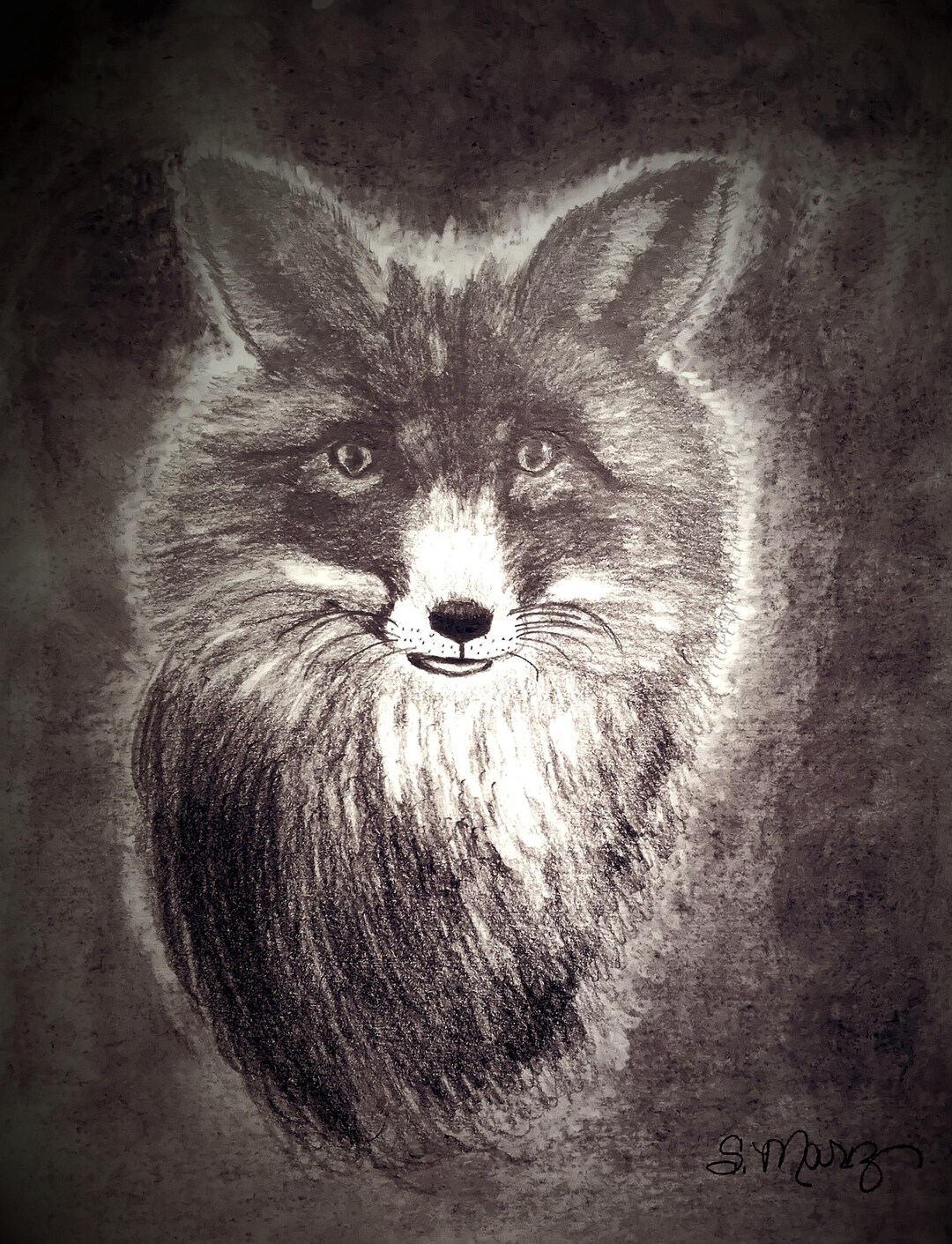 Original English Countryside Fox Charcoal Drawing Print - Etsy