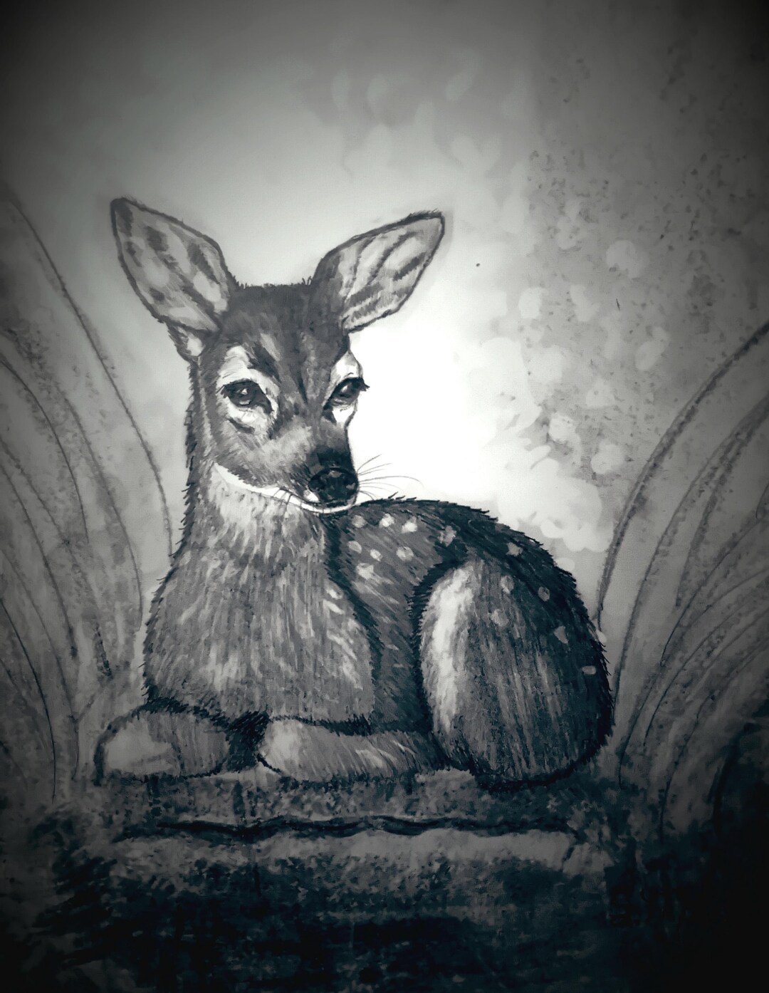 Original Fawn Charcoal Sketch Print and Signed - Etsy