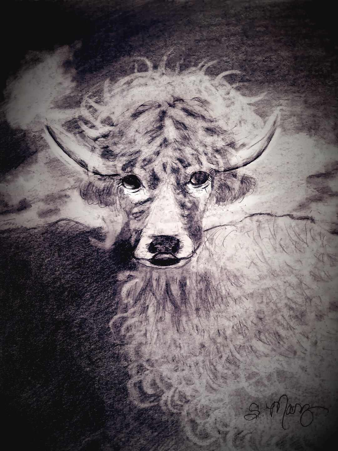 Original Fantasy Cow in the Clouds Charcoal Sketch Print - Etsy