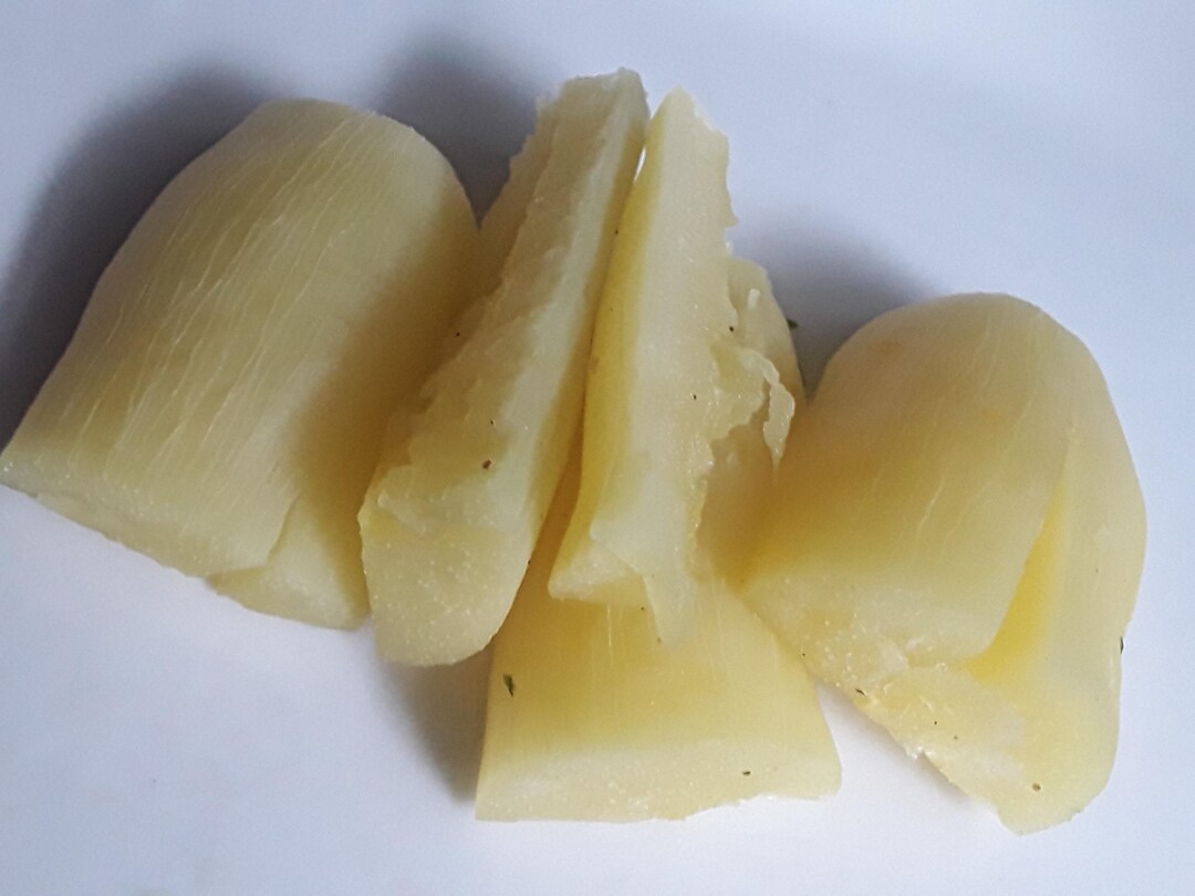 Yellow-fleshed Cassava/yuca 3 Cuttings (manihot Esculenta 'shan's ...