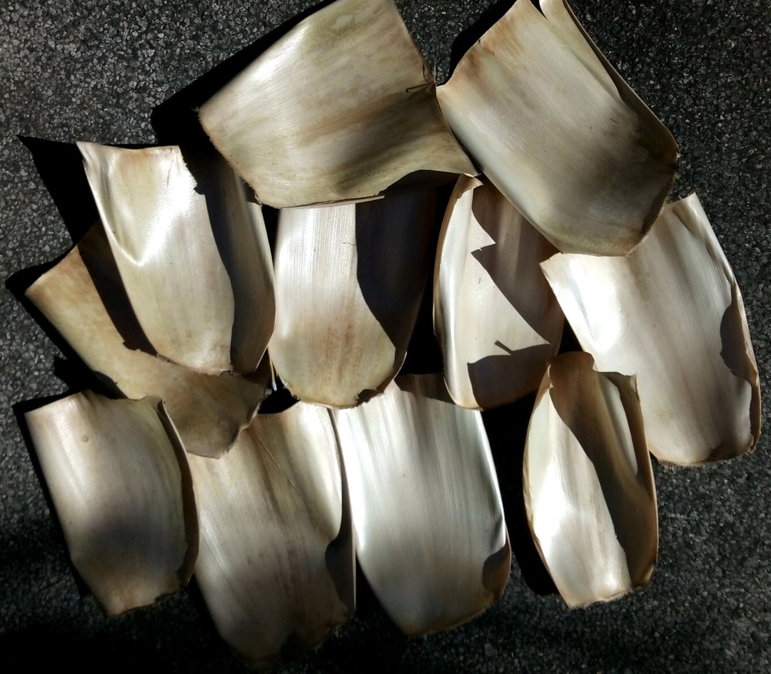 Natural Bamboo Sheaths for Art and Craft Projects 10 Pieces - Etsy