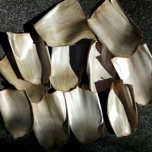 Natural Bamboo Sheaths for Art and Craft Projects 10 Pieces - Etsy