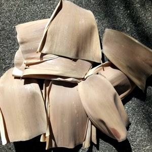 Natural Bamboo Sheaths for Art and Craft Projects 10 Pieces - Etsy