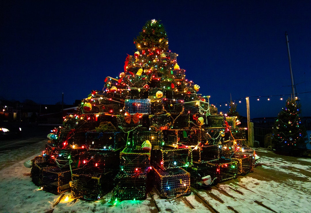 Lobster Trap Christmas Tree Lunenburg Nova Scotia Digital - Etsy Finland