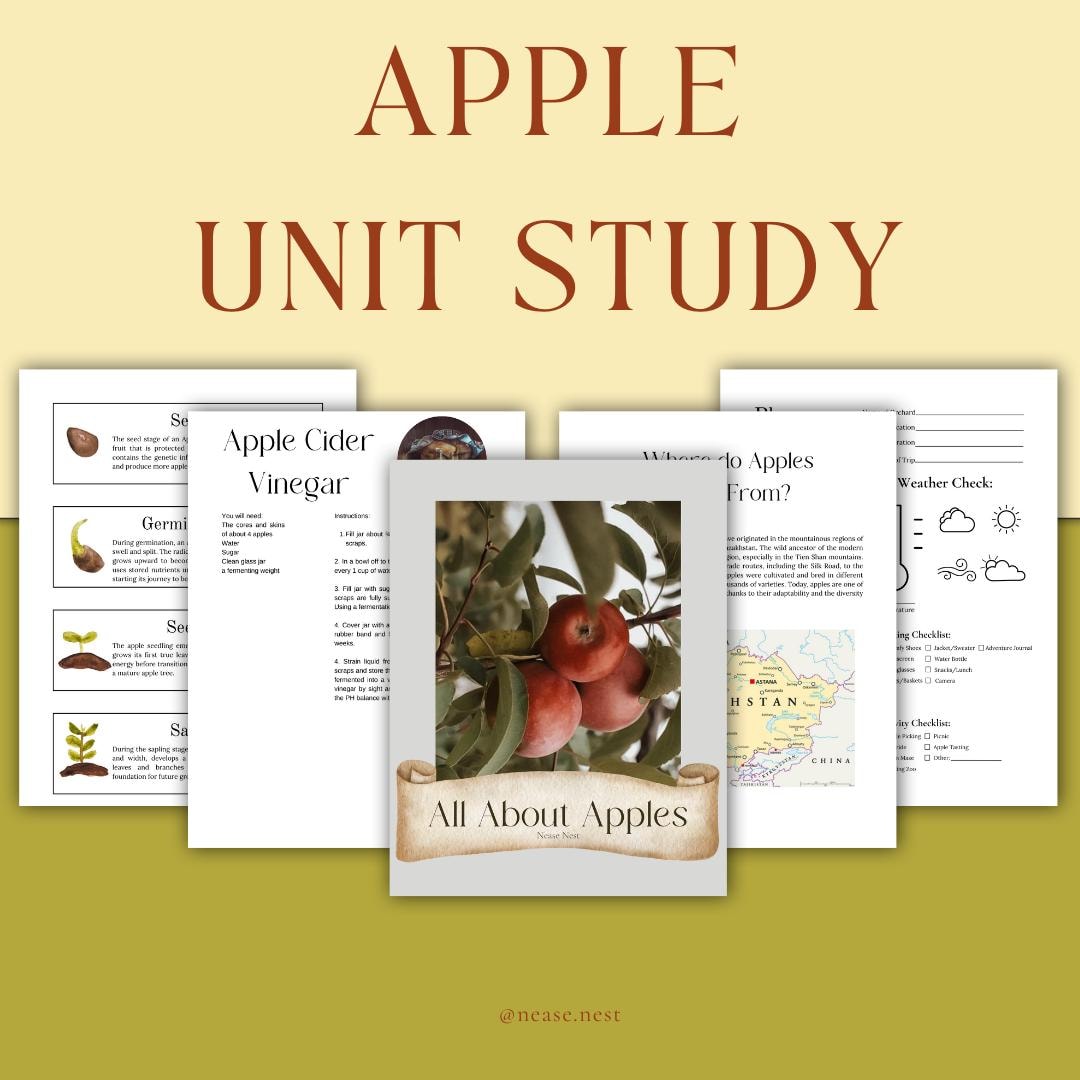 All About Apples: Unit Study - Etsy
