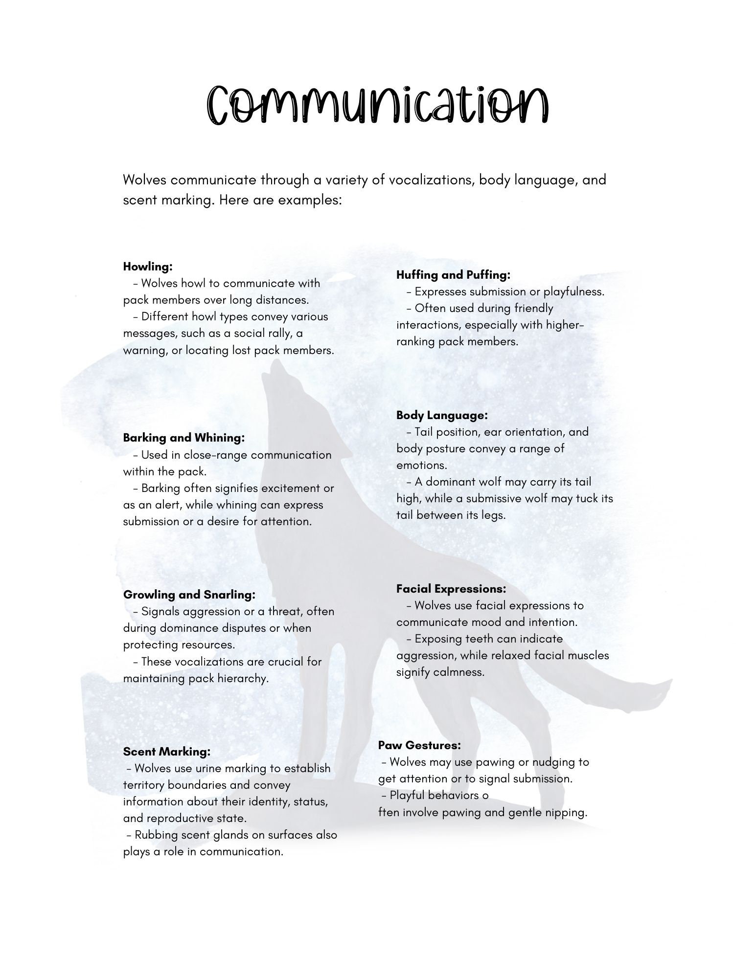 Wild World of Wolves- A Wolf Unit Study - Etsy