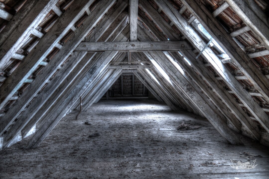 Forgotten poster 30 X 20 Cm - Etsy