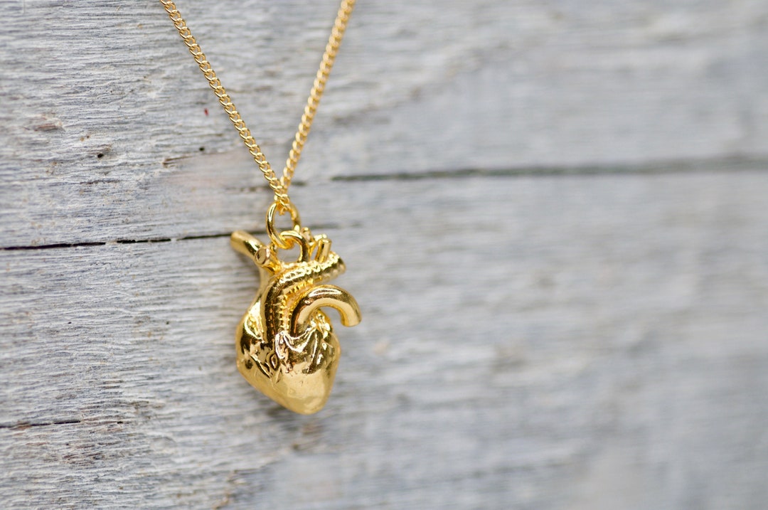 3D Anatomical Human Heart Charm Necklace 24k, Medicine Student Gift ...