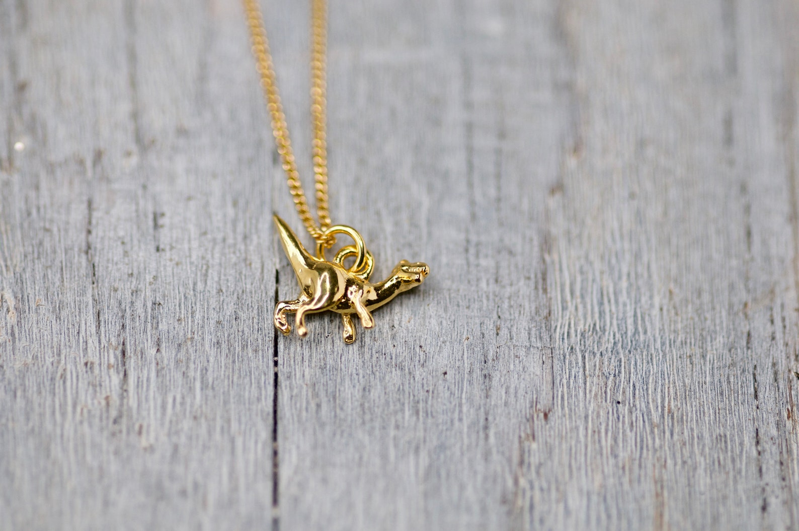 T-rex Dinosaur Charm Necklace 24k Gold Plated T-rex Necklace | Etsy