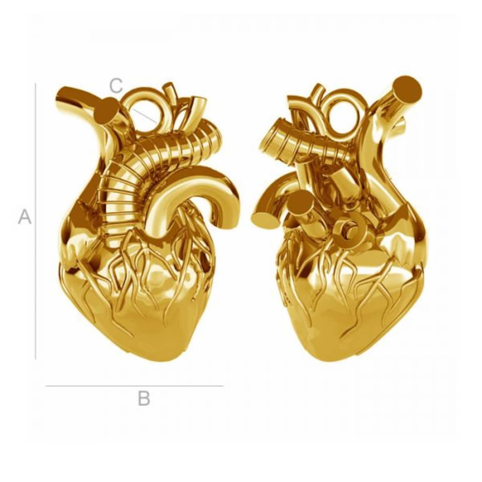 3D Anatomical Human Heart Charm Necklace 24k, Medicine Student Gift ...