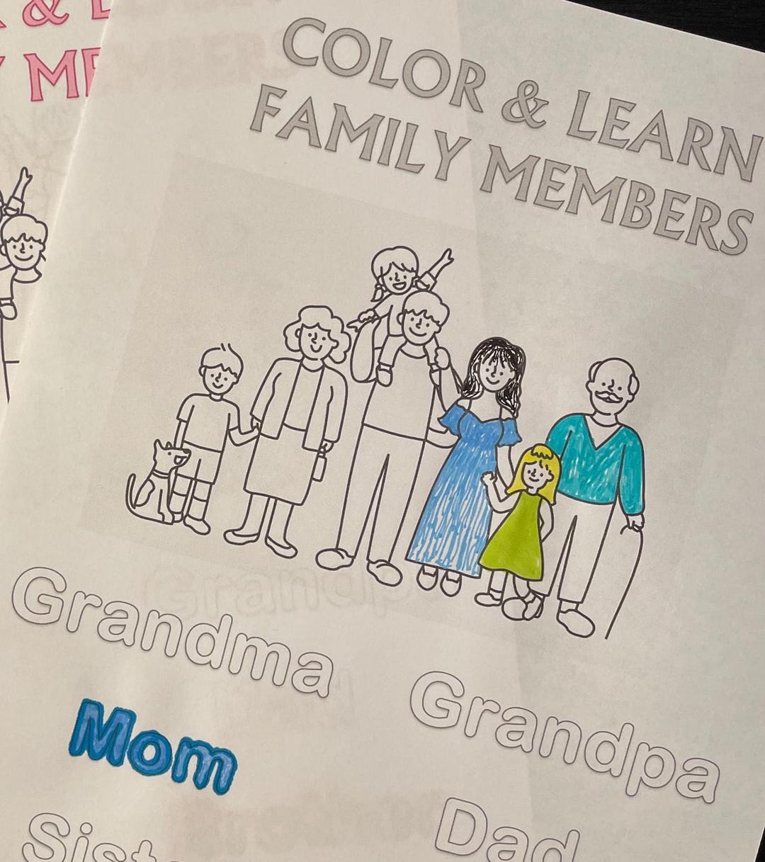 Color and Learn Family Members - Etsy
