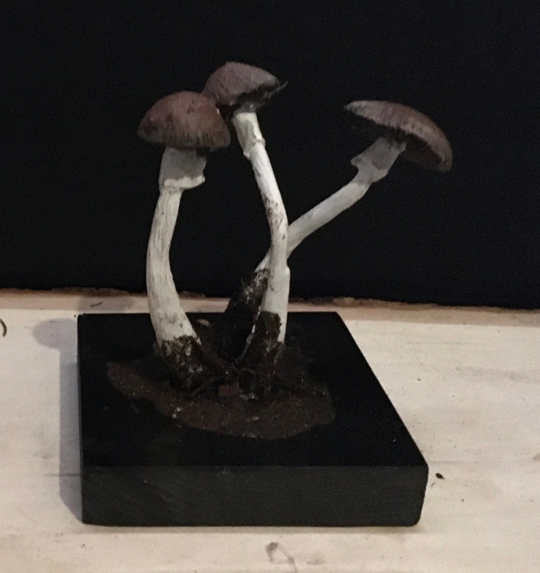 Mushroom Sculpture Model Psilocybin Forest Nature Statue - Etsy