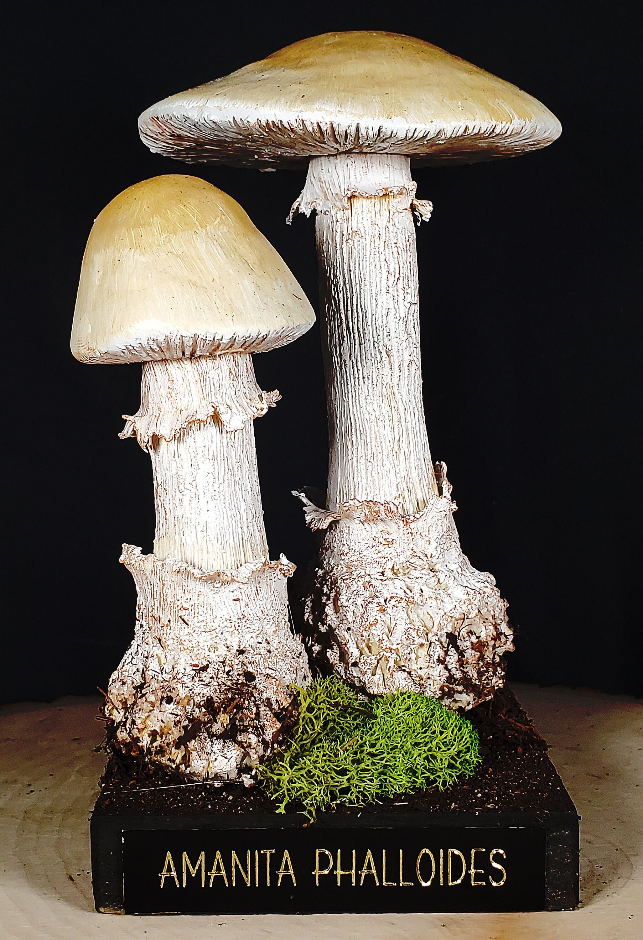 Mushroom Sculpture Model Death Cap Forest Nature Statue - Etsy