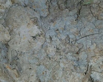 Mississippi Clay Dirt - Etsy